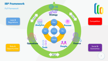 Integrated Business Planning - IBP Roadmap - Planadigm
